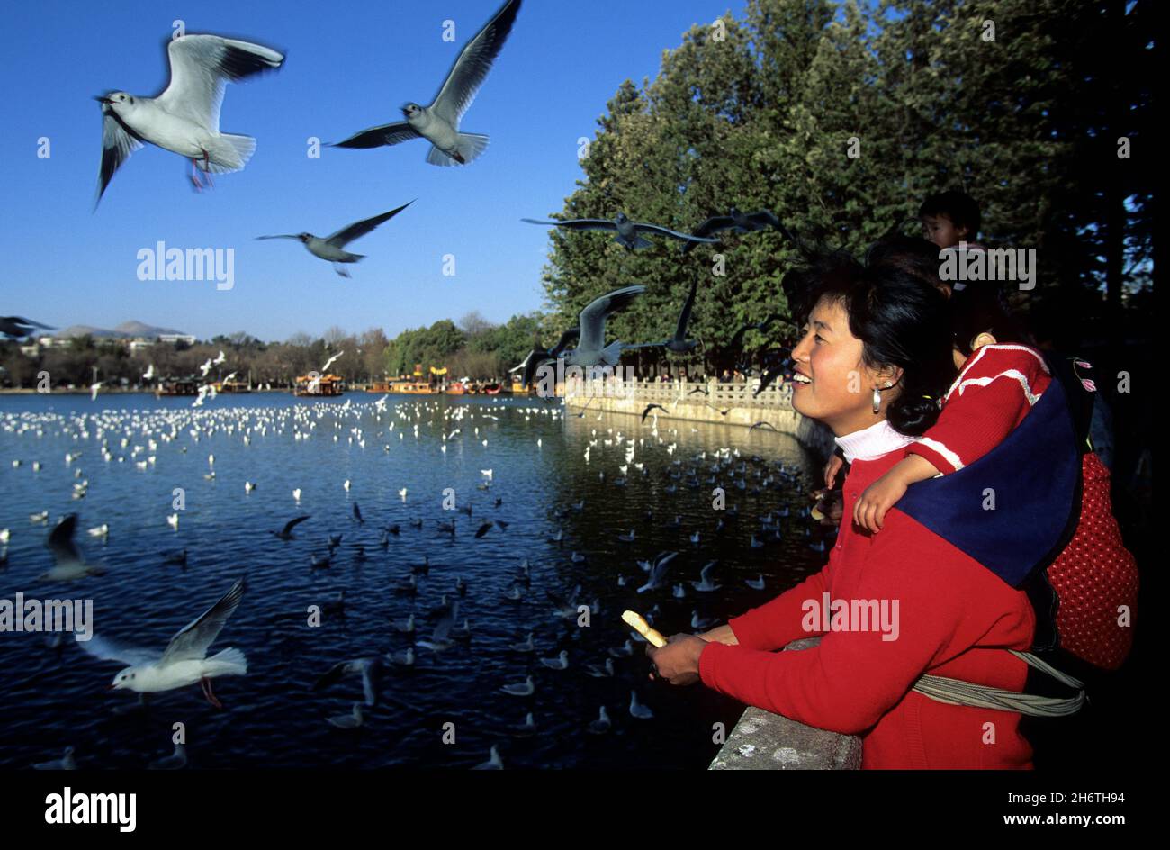 Dianchi lake hi-res stock photography and images - Alamy