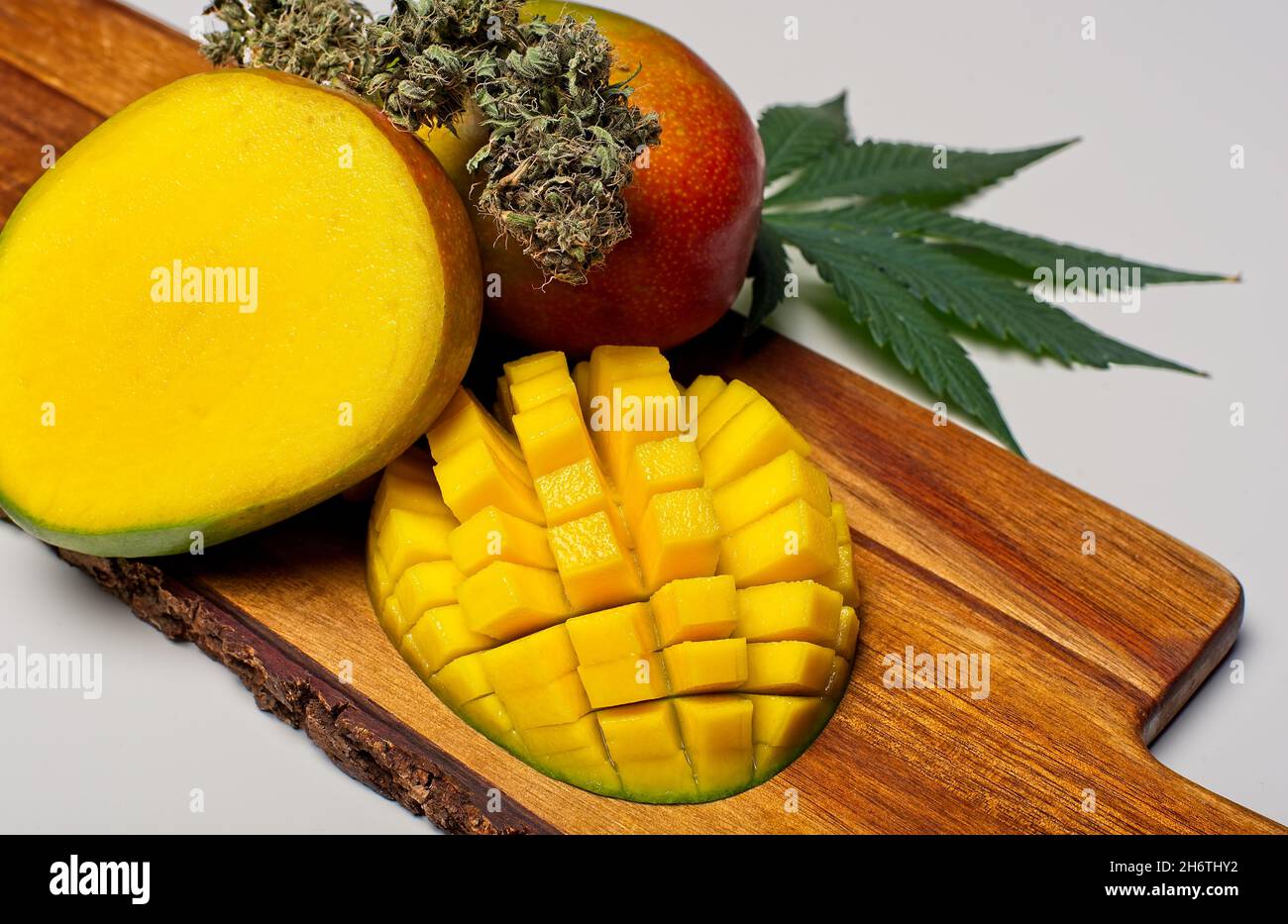 Cut mango fruit with cannabis leaf and bud. Myrcene and terpenes in ...