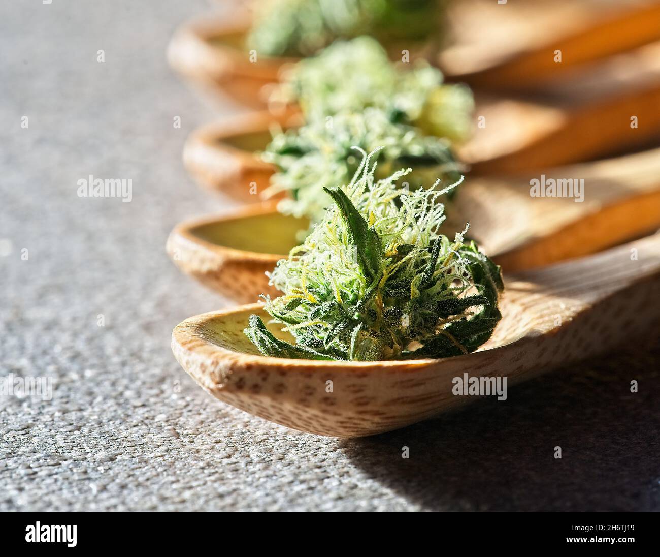 Small cannabis buds on little wooden bamboo spoons in line, back-lit ...