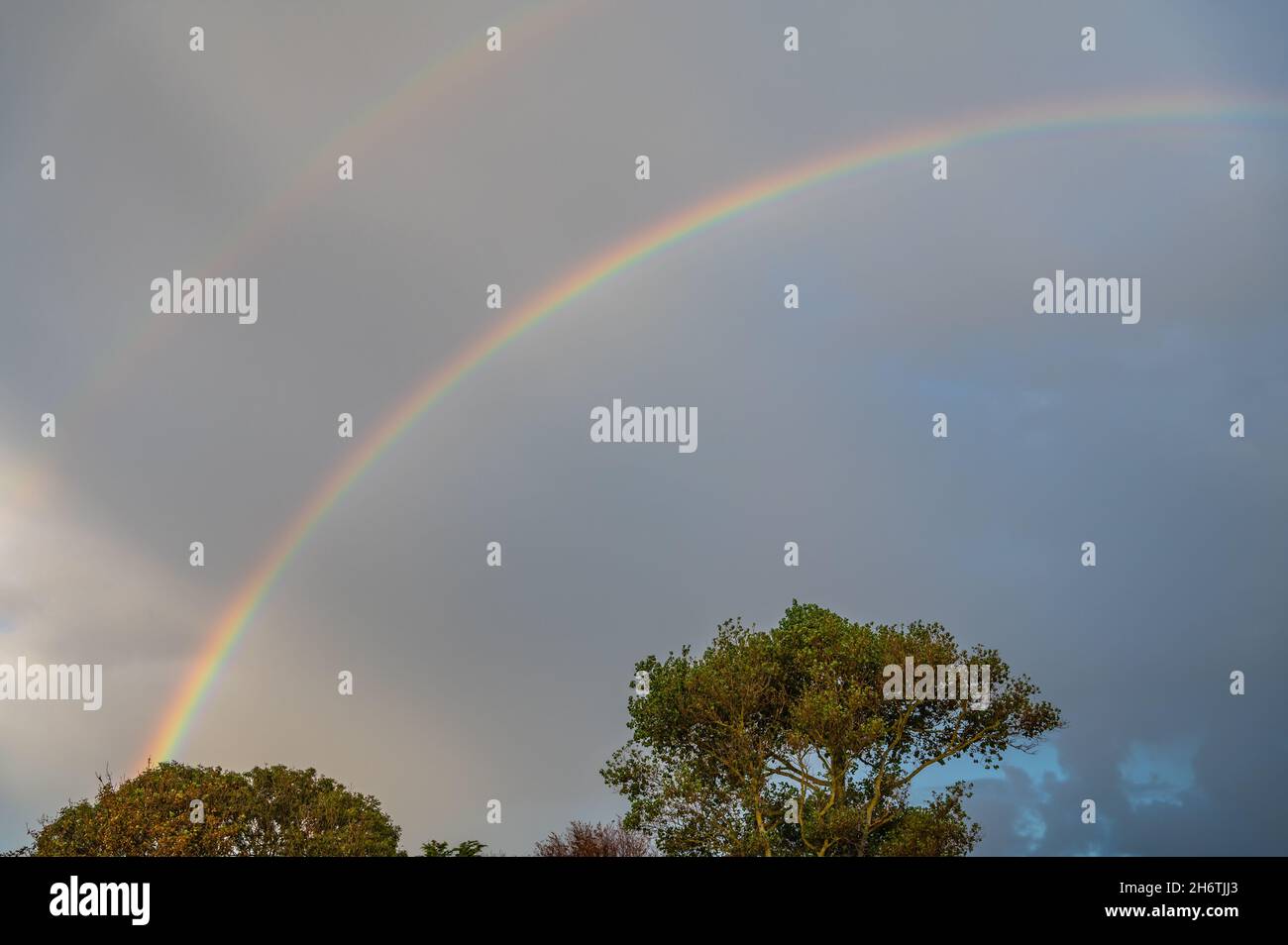Double rainbow over trees on a wet raining overcast day with grey ...