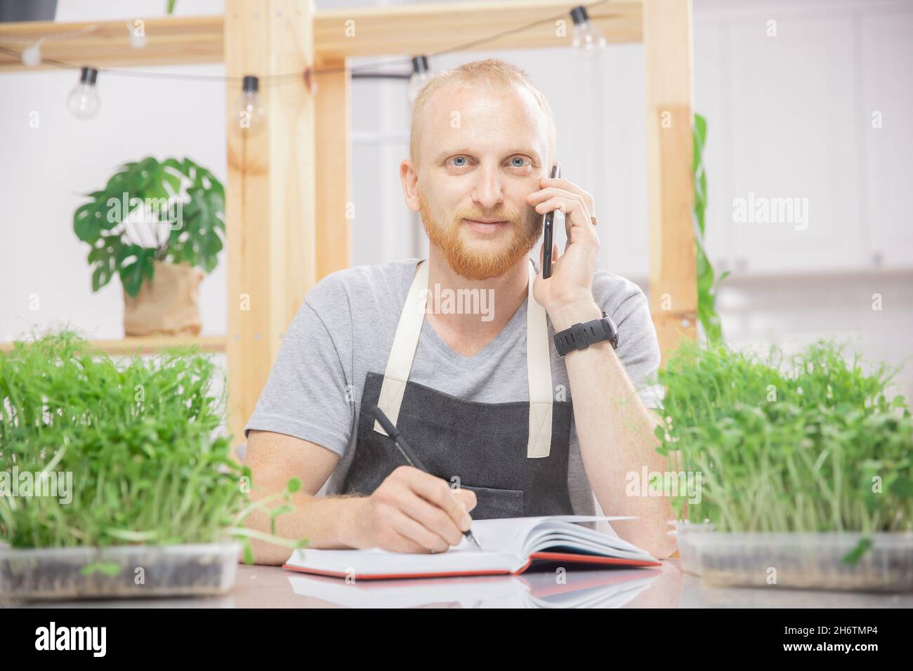 Sell farmer man Microgreen baby sprouts beans pea and sunflower in box ...