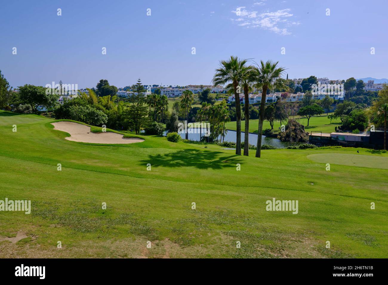 Beautiful golf course with green grass, different types of trees, and a ...
