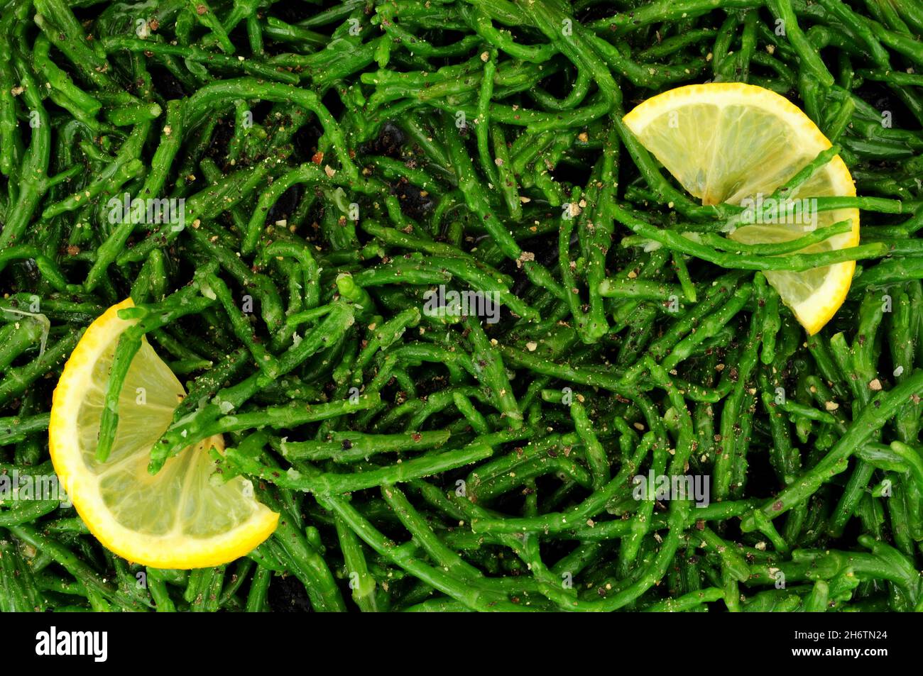 Cooked samphire with melted butter and ground black pepper background ...