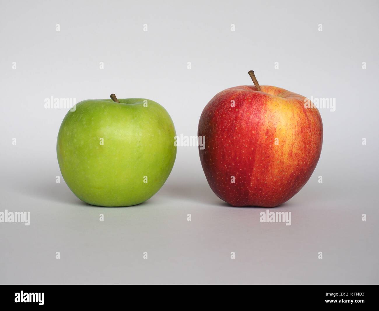 green and red apple (scientific name Malus domestica) vegetarian fruit ...