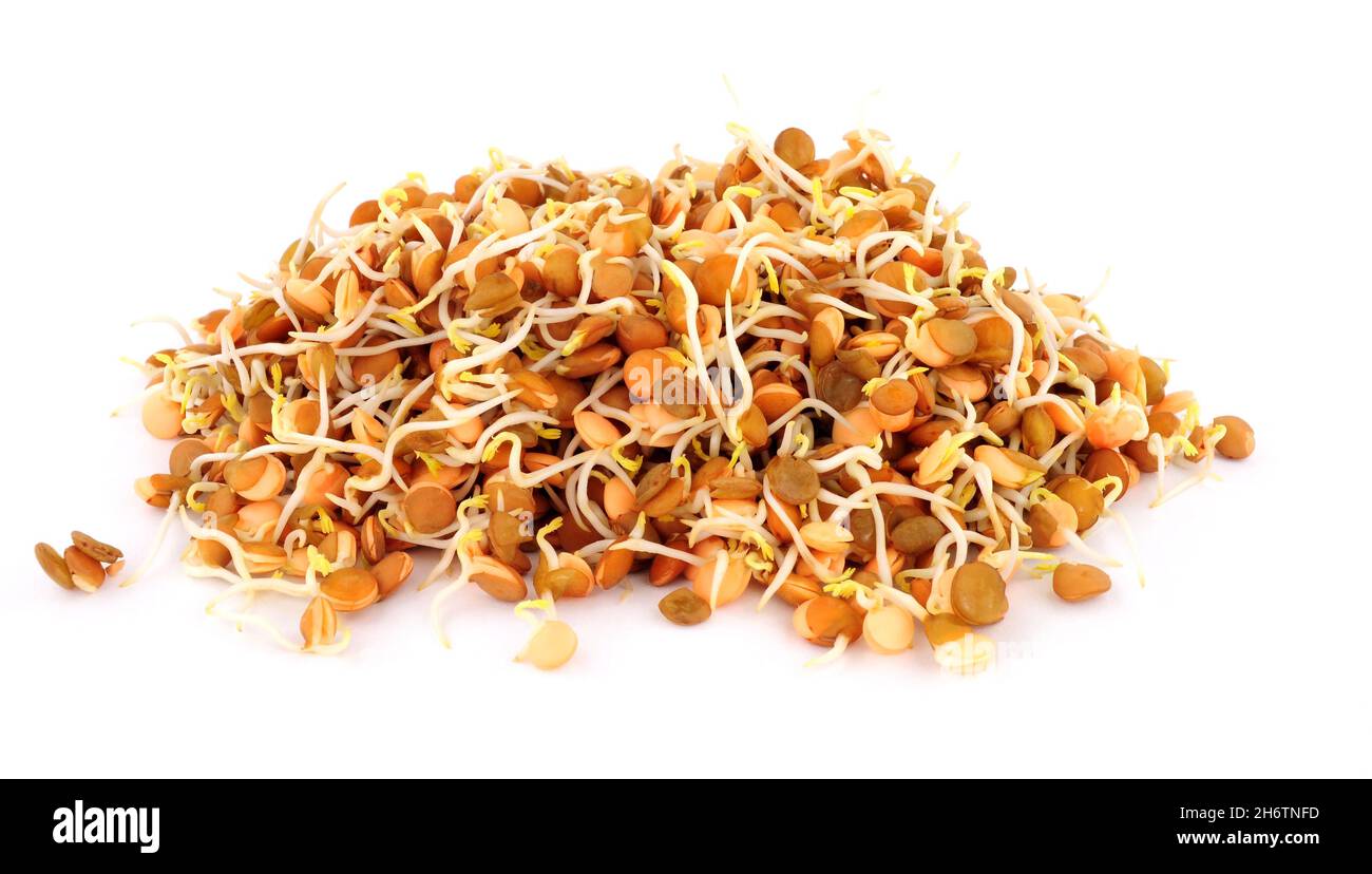 Lentils with sprouts Cut Out Stock Images & Pictures - Alamy