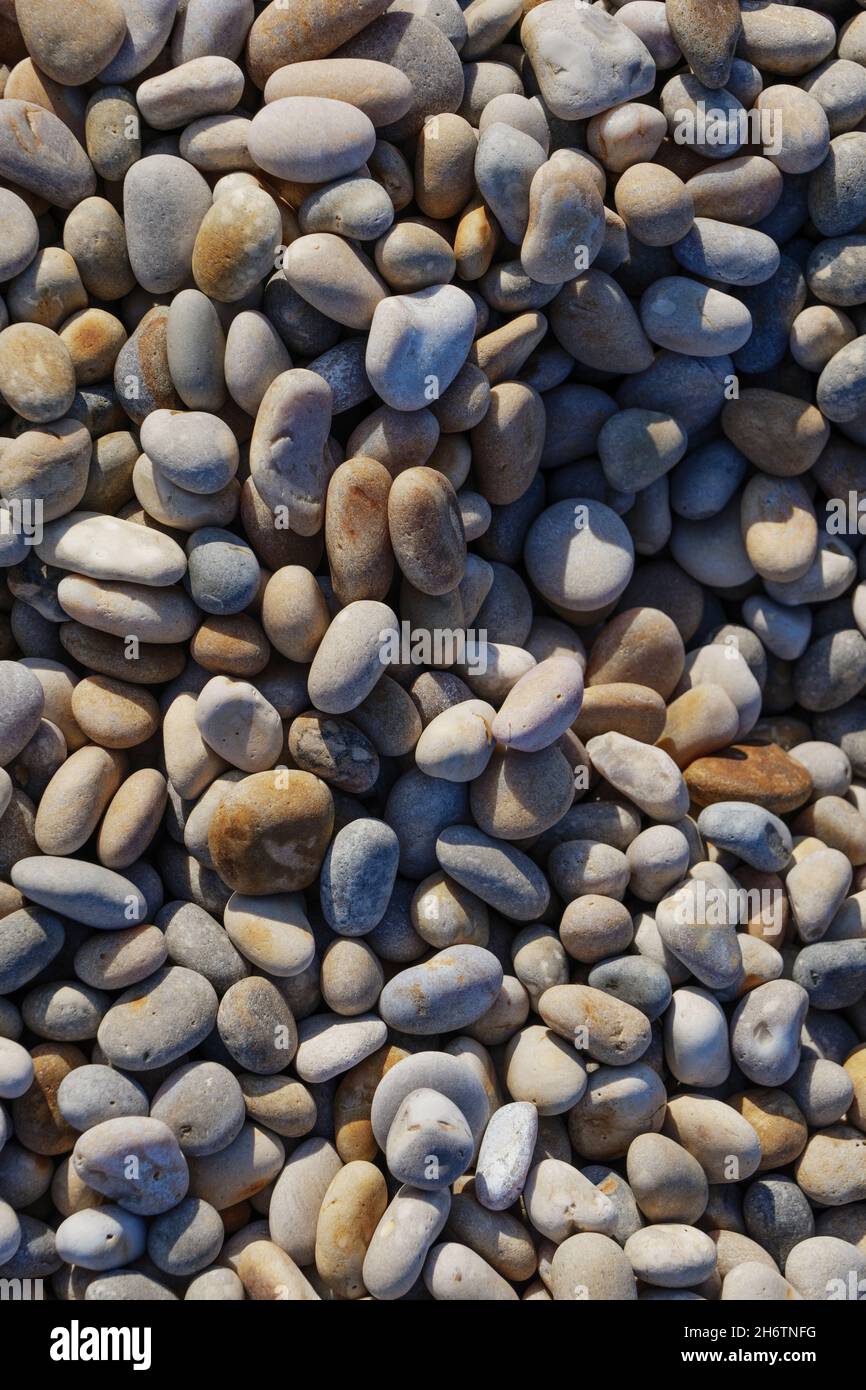 A pebble beach on the 21st July 2020 in Portland, Dorset in the United ...