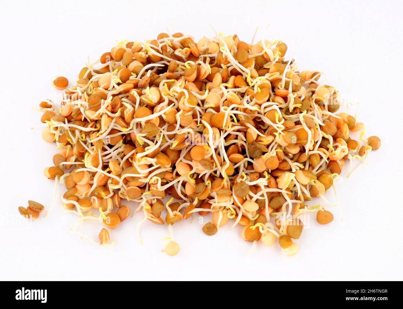 Lentils with sprouts Cut Out Stock Images & Pictures - Alamy