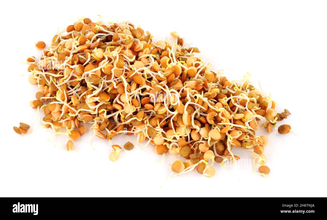Lentils with sprouts Cut Out Stock Images & Pictures - Alamy