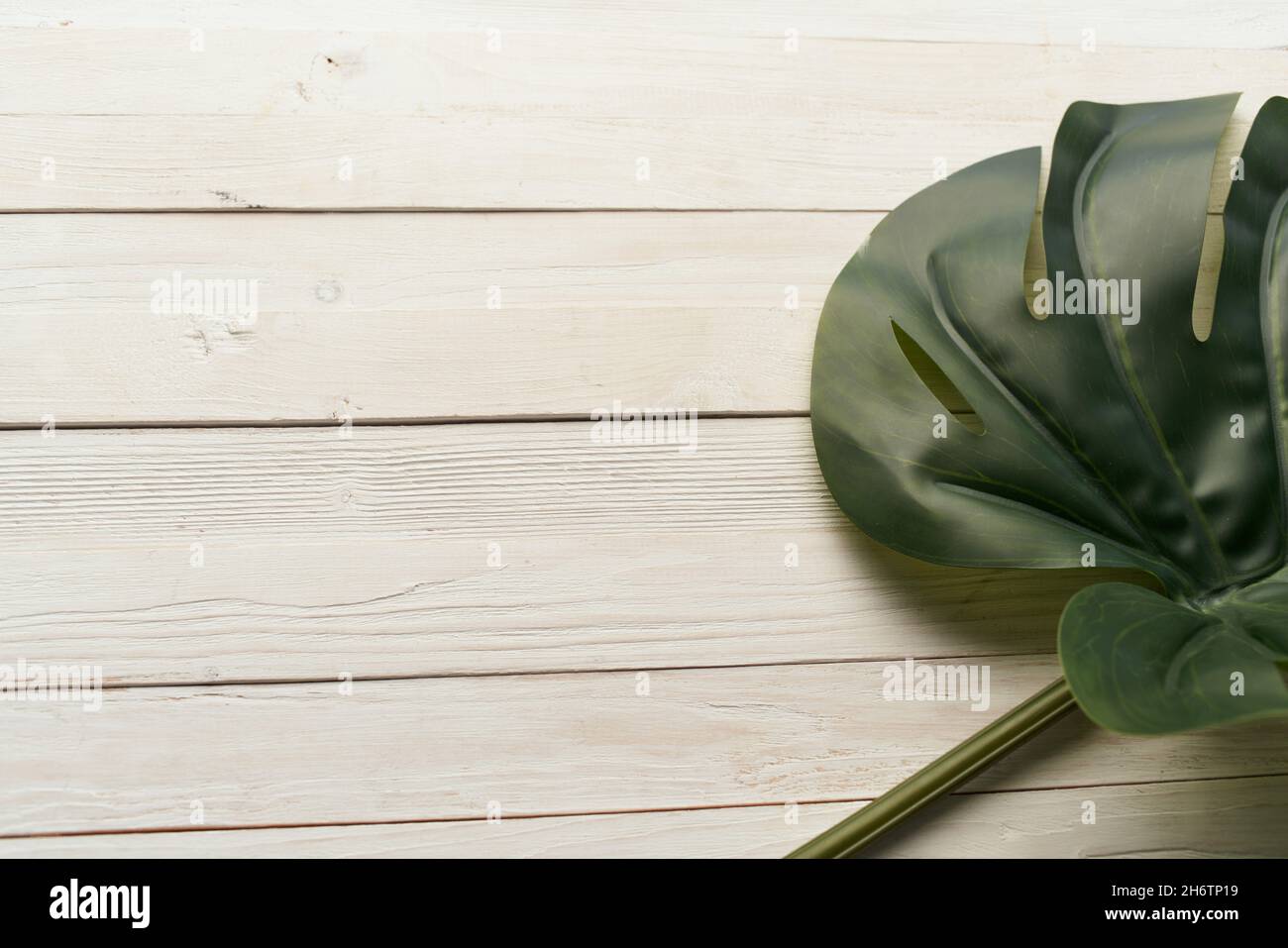 green leaf wood background texture wall close-up Stock Photo - Alamy
