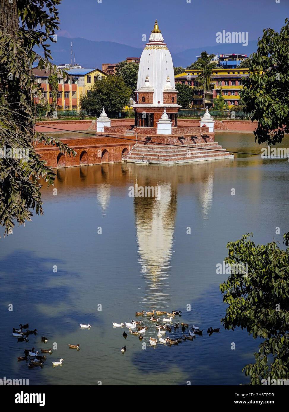 Kathmandu, Bagmati, Nepal. 18th Nov, 2021. Ducks swim in Ranipokhari ...