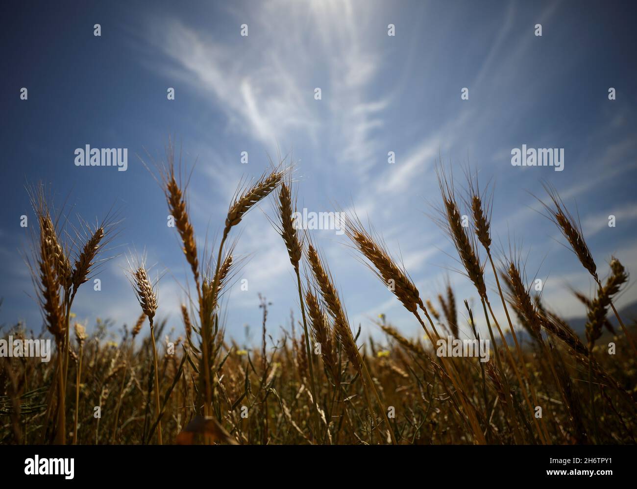 Experimental farm agriculture hi-res stock photography and images - Alamy