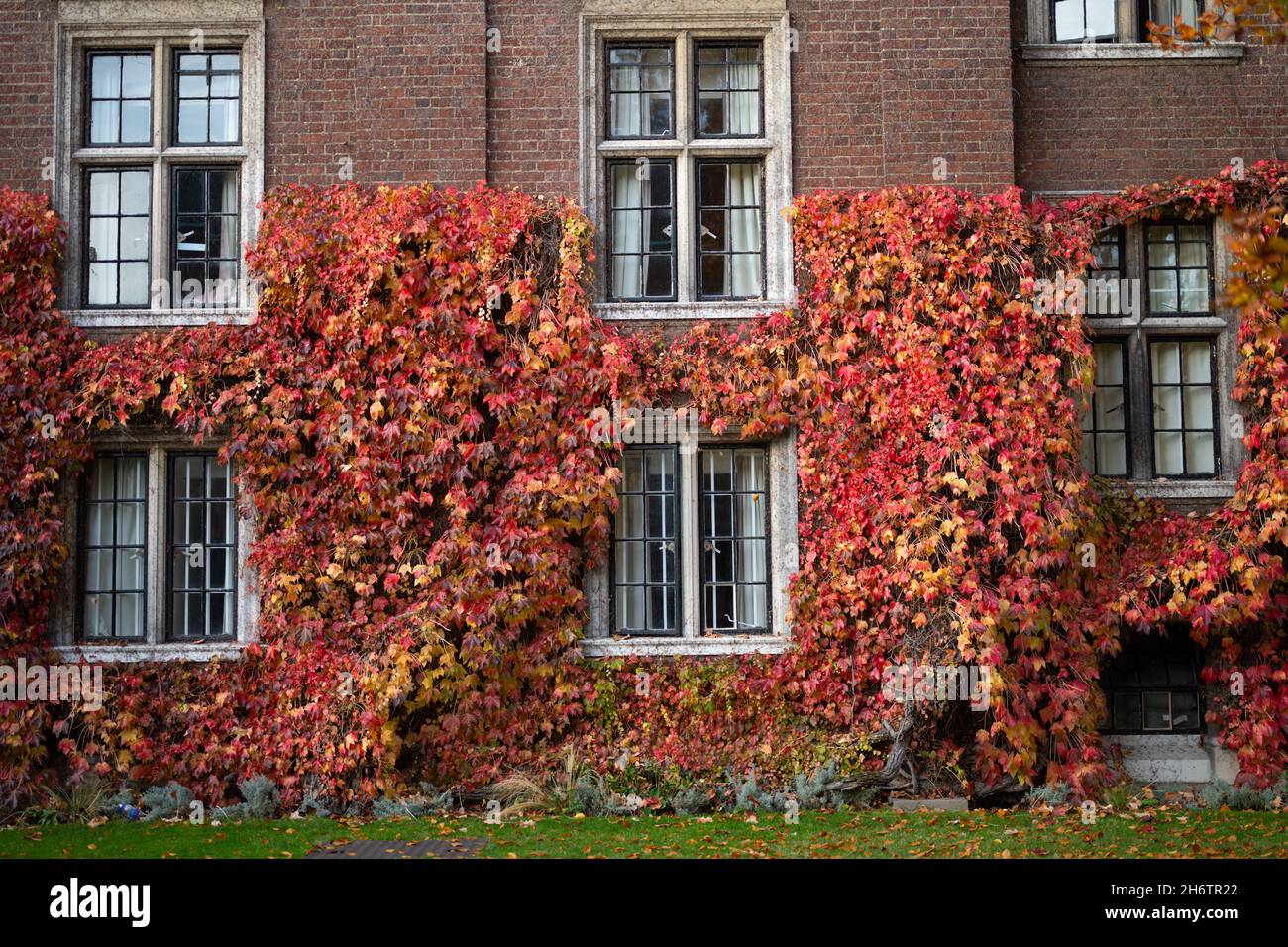 Autumn in Cambridge Stock Photo - Alamy
