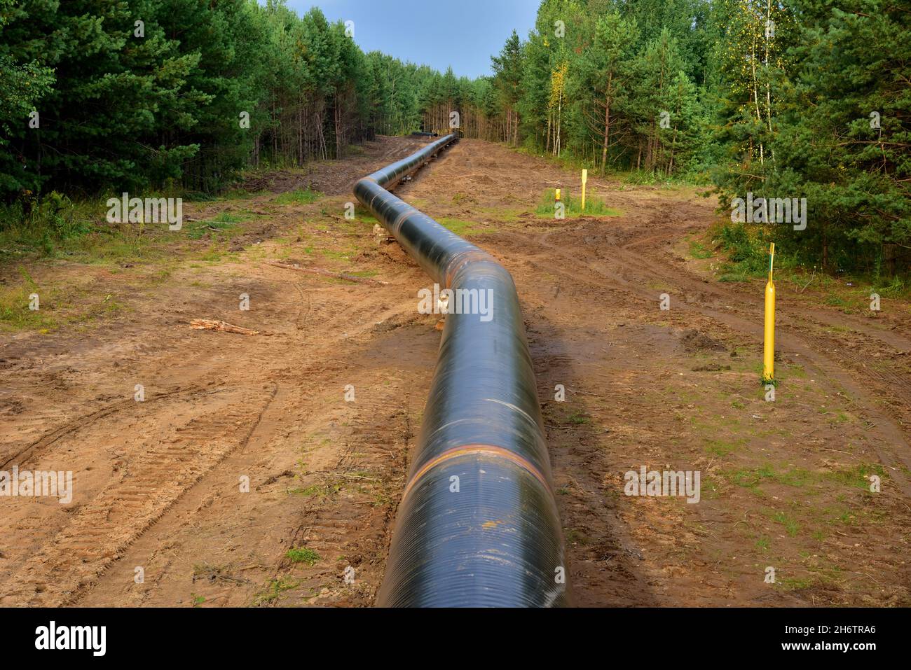 Natural gas pipeline construction work in forest area. Installation of ...