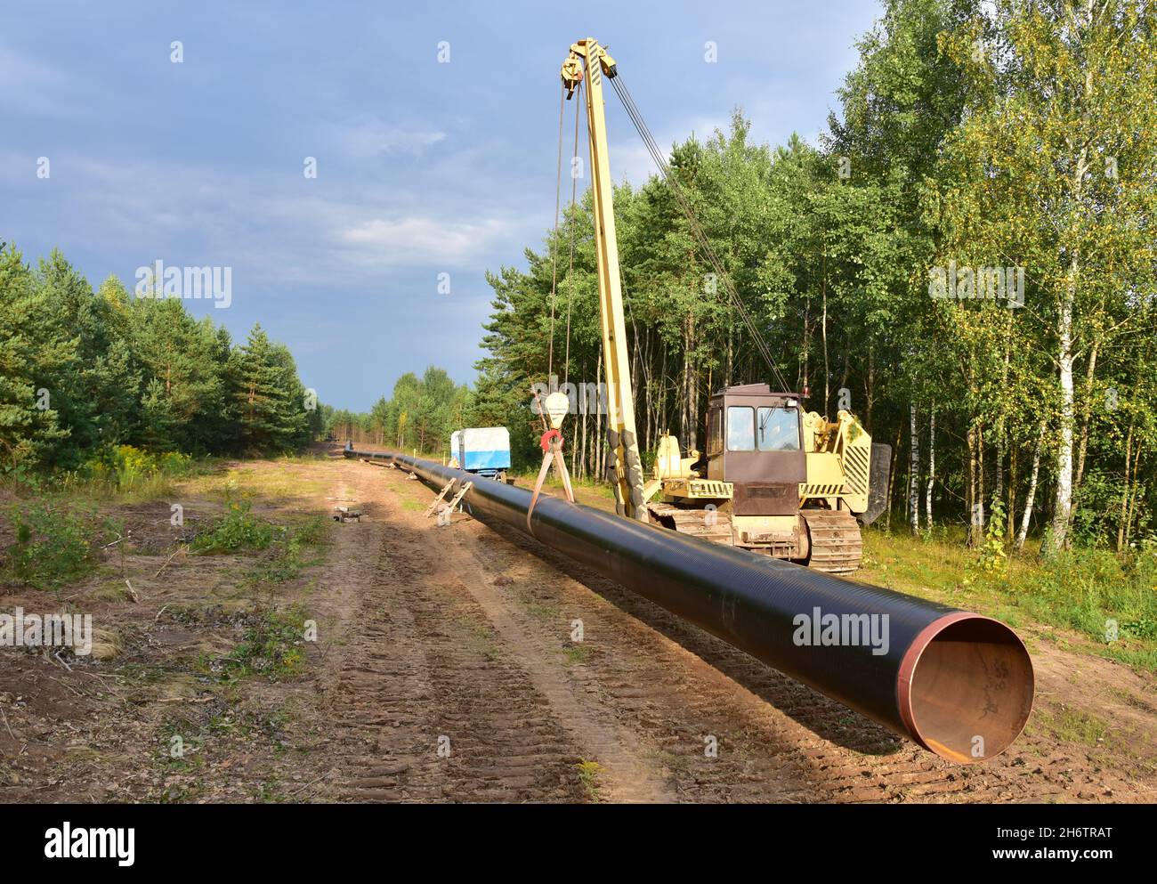 Natural gas pipeline construction work in forest area. Installation of ...