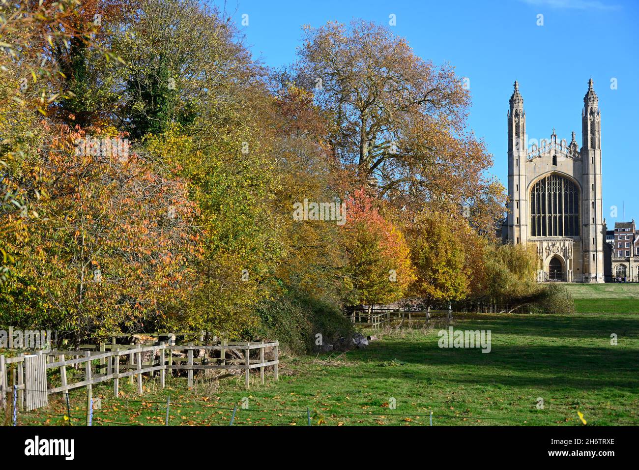 Autumn in Cambridge Stock Photo - Alamy