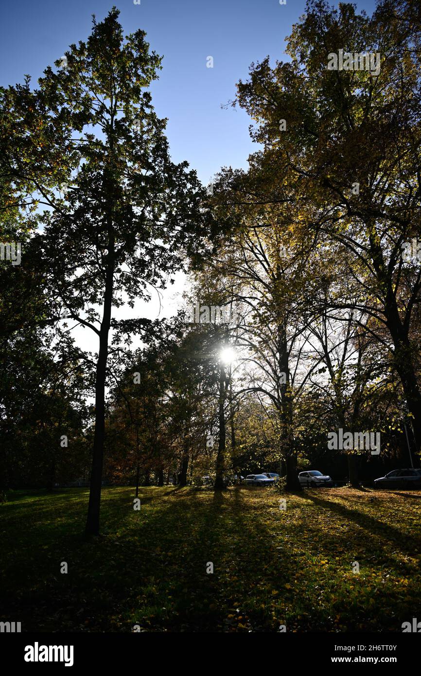 Autumn in Cambridge Stock Photo - Alamy