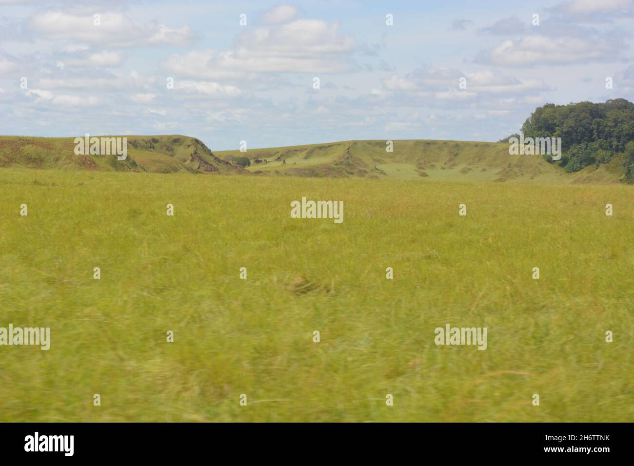 Savannah, Pongara National Park , Gabon, Central Africa Stock Photo - Alamy