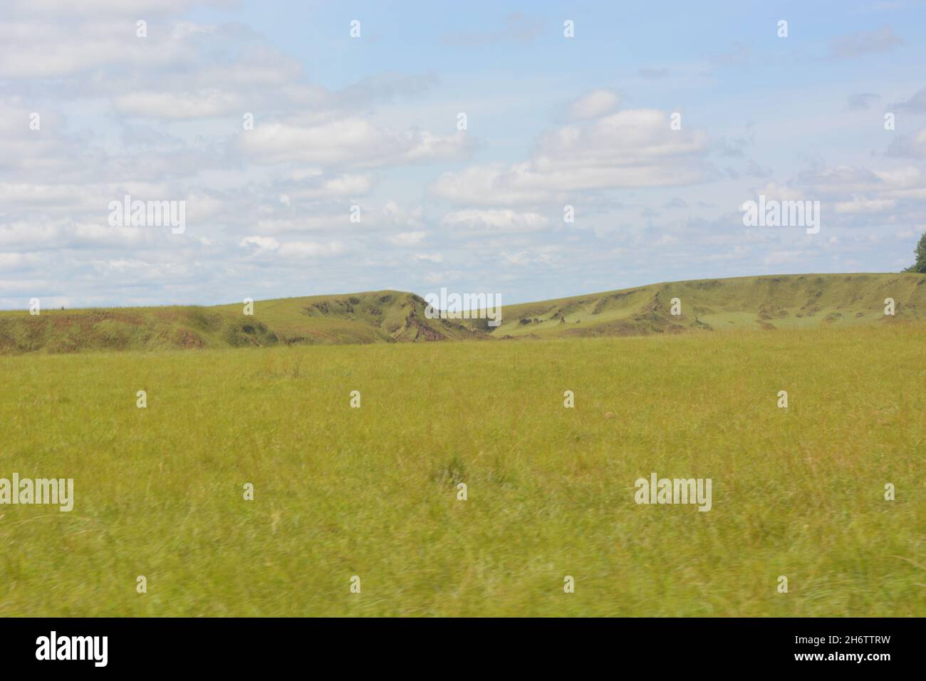 Savannah, Pongara National Park , Gabon, Central Africa Stock Photo - Alamy