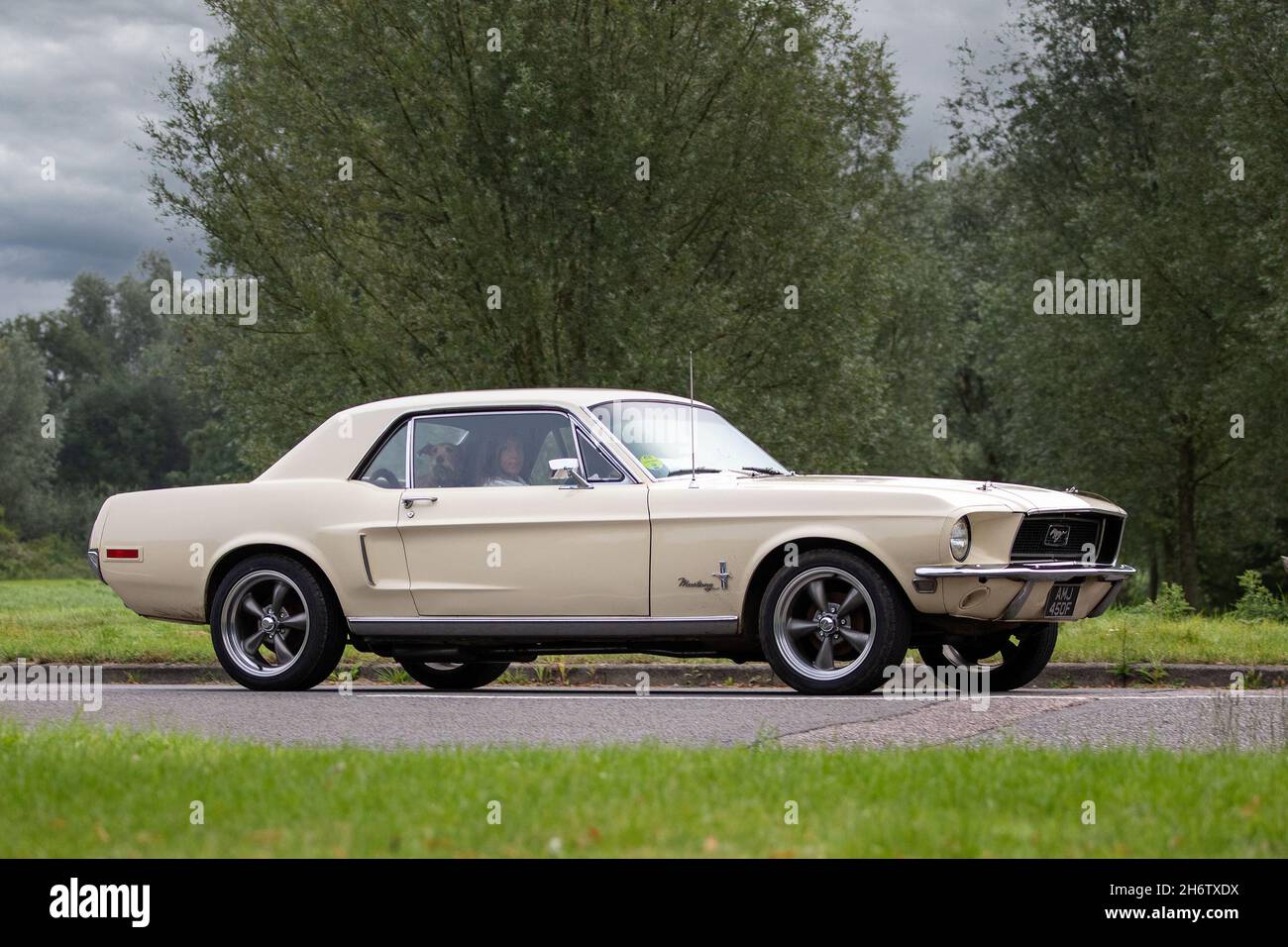 1968 Ford Mustang classic car Stock Photo - Alamy
