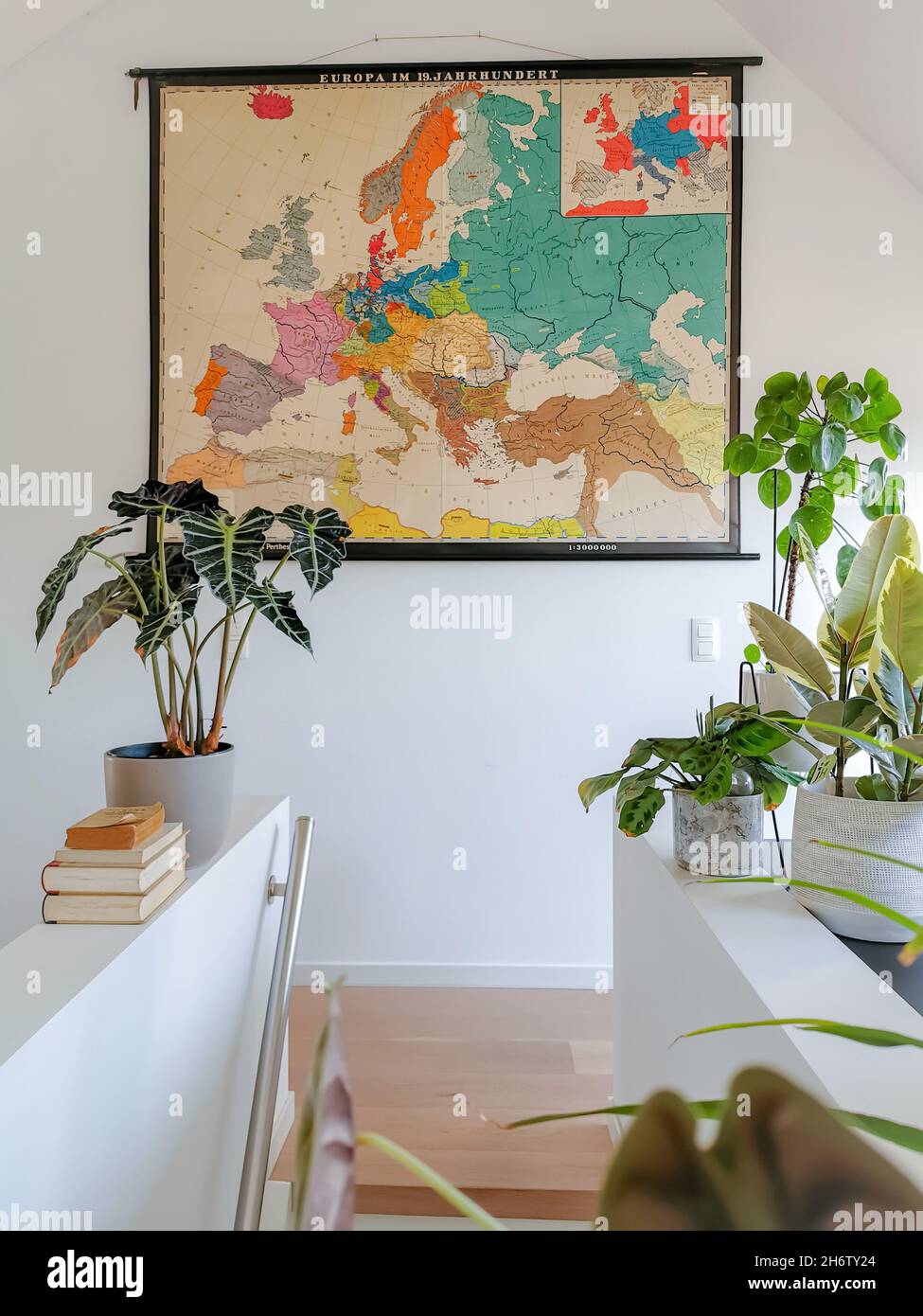 Retro library interior with multiple plants and large vintage poster ...