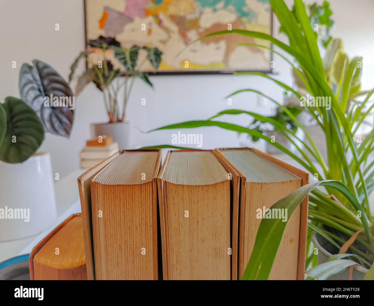 Vintage library interior with old books, vintage poster and multiple ...
