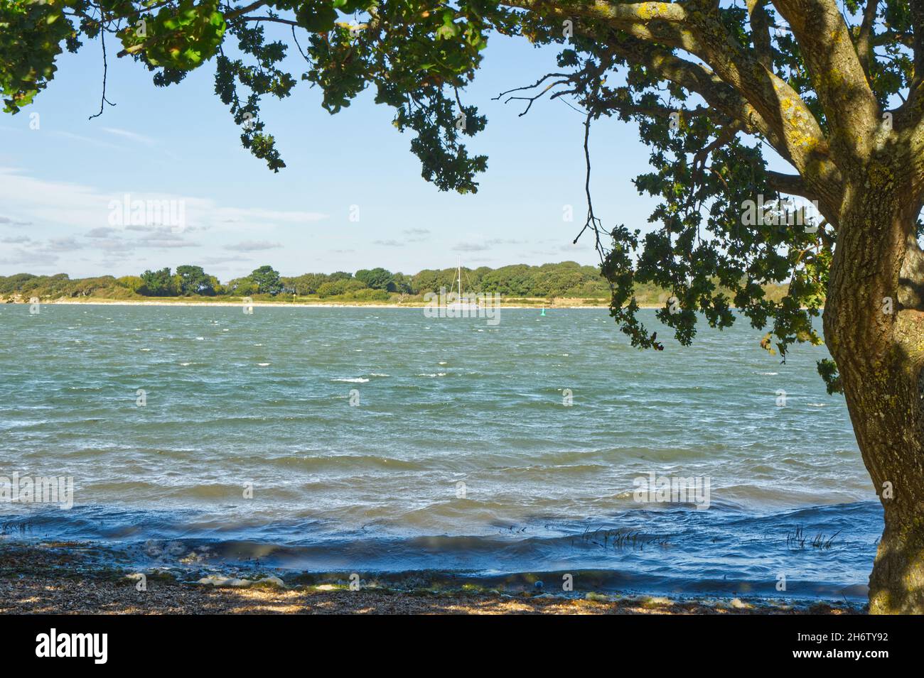 Ichenor hi-res stock photography and images - Alamy