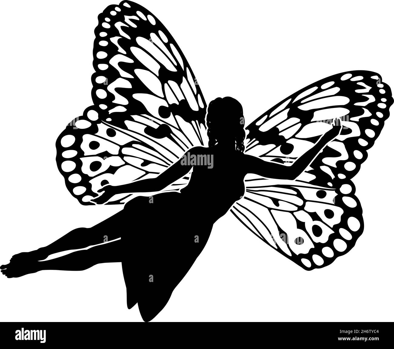 Beautiful butterfly wings in Cut Out Stock Images & Pictures - Alamy