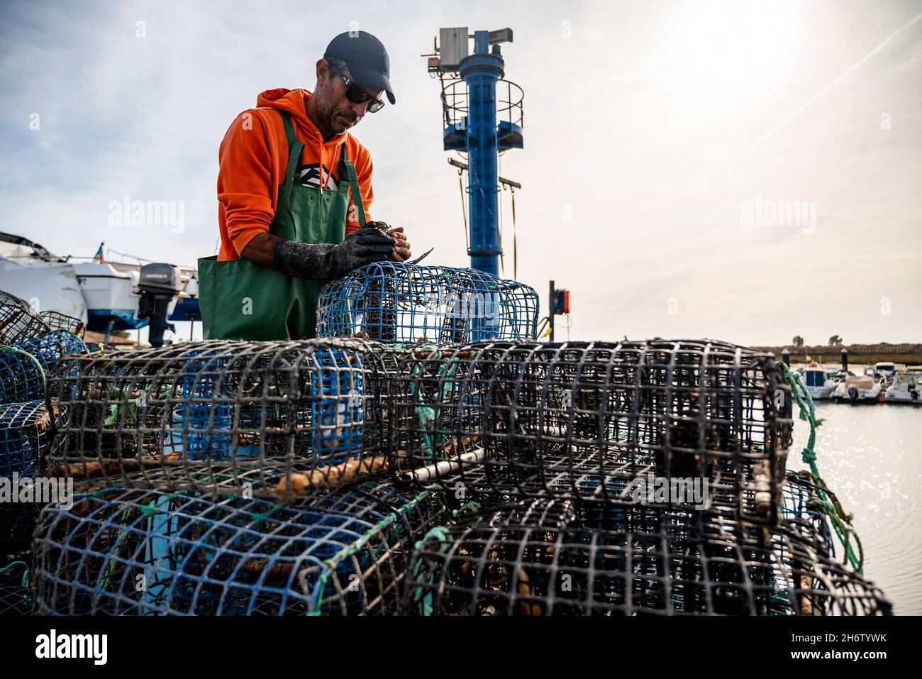A fisherman puts a crab inside an octopus trap in Alvor, Algarve ...