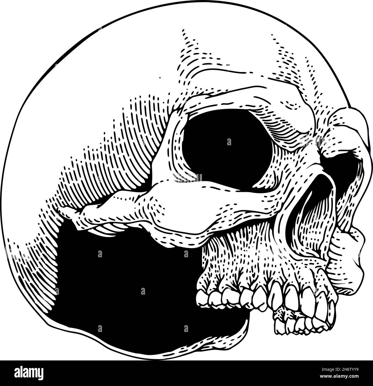 Skeleton drawing clipart vintage Black and White Stock Photos & Images ...