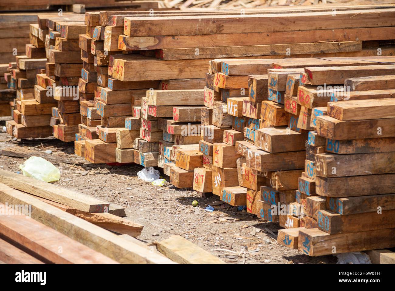 Piles of milled timber in the Solomon Islands Stock Photo - Alamy
