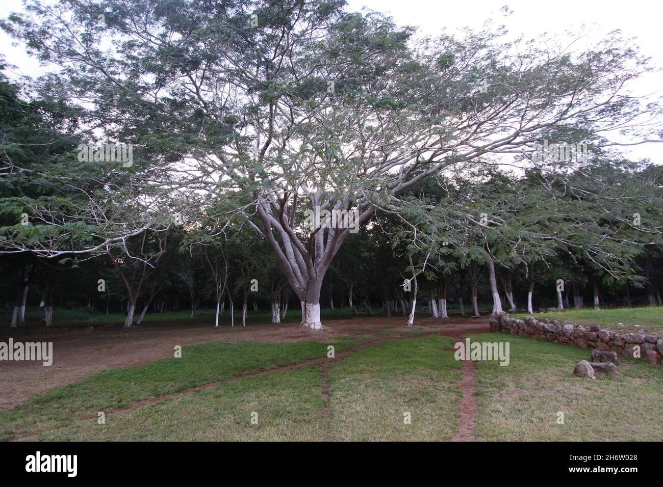 Labna ruins in yucatan hi-res stock photography and images - Alamy