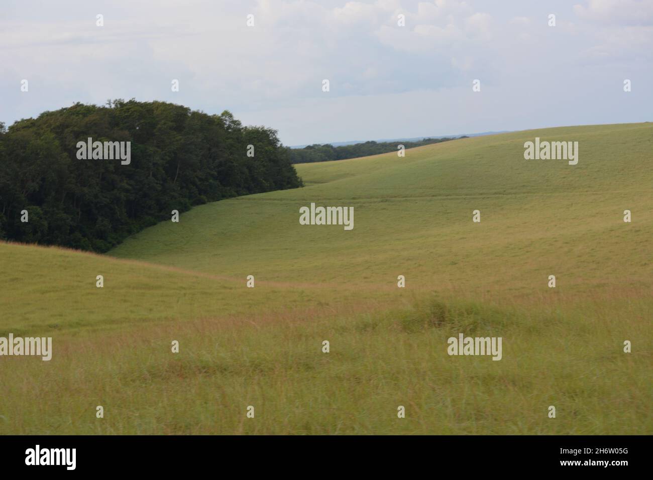 Pongara gabon hi-res stock photography and images - Alamy