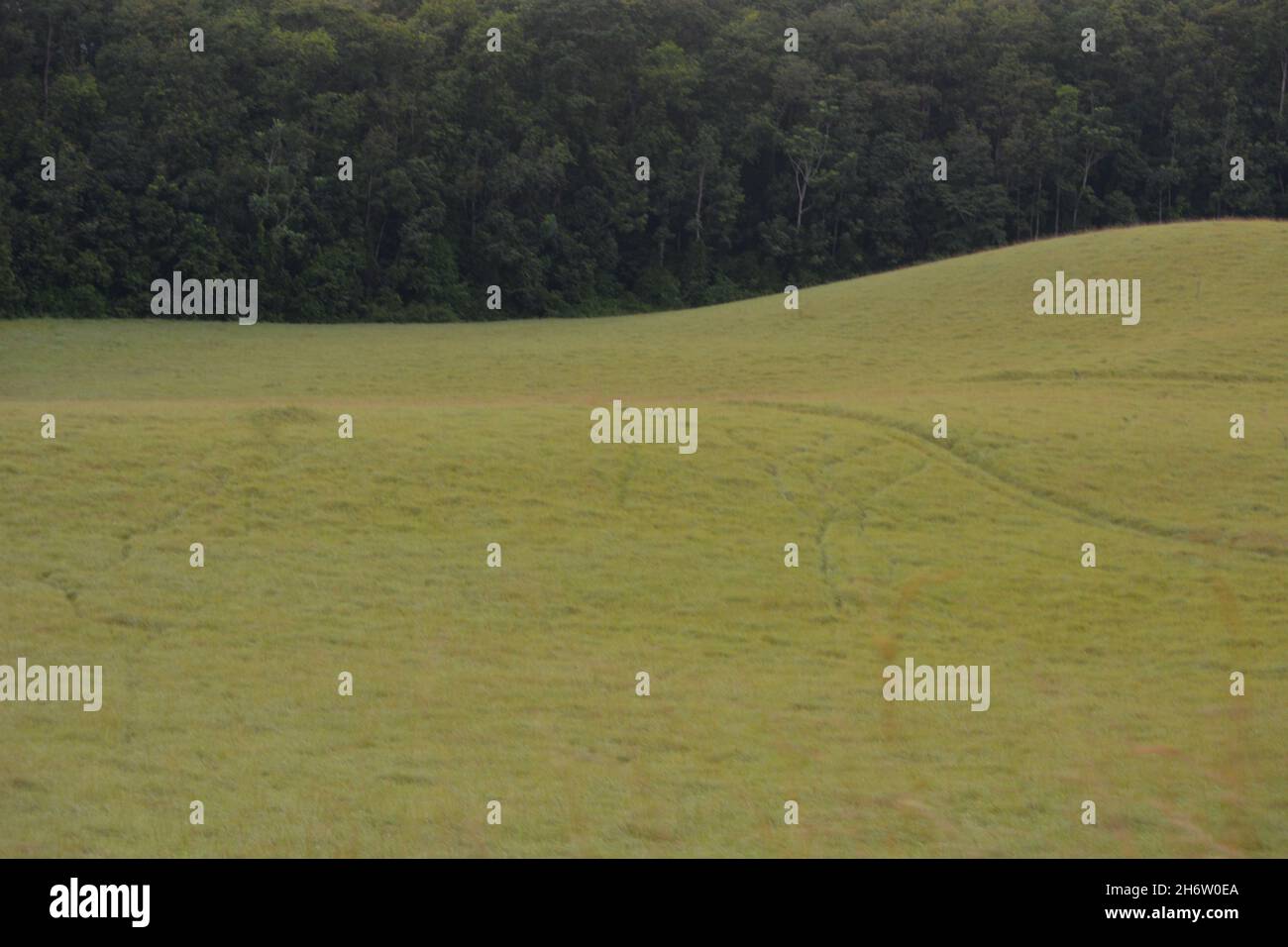 Gabon national park hi-res stock photography and images - Alamy