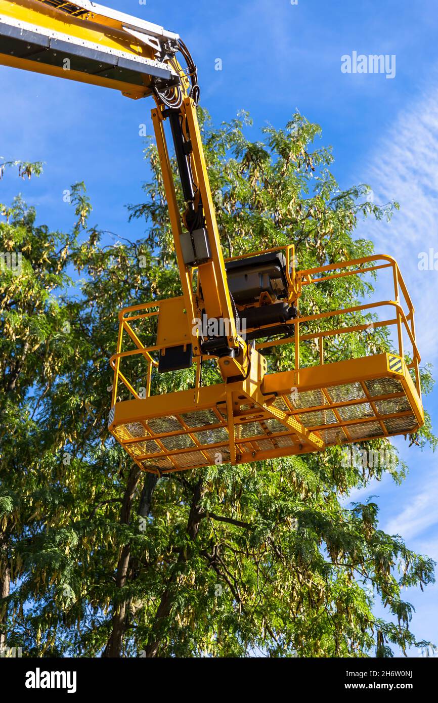 bottom view of yellow platform lift on top trees in the park Stock ...