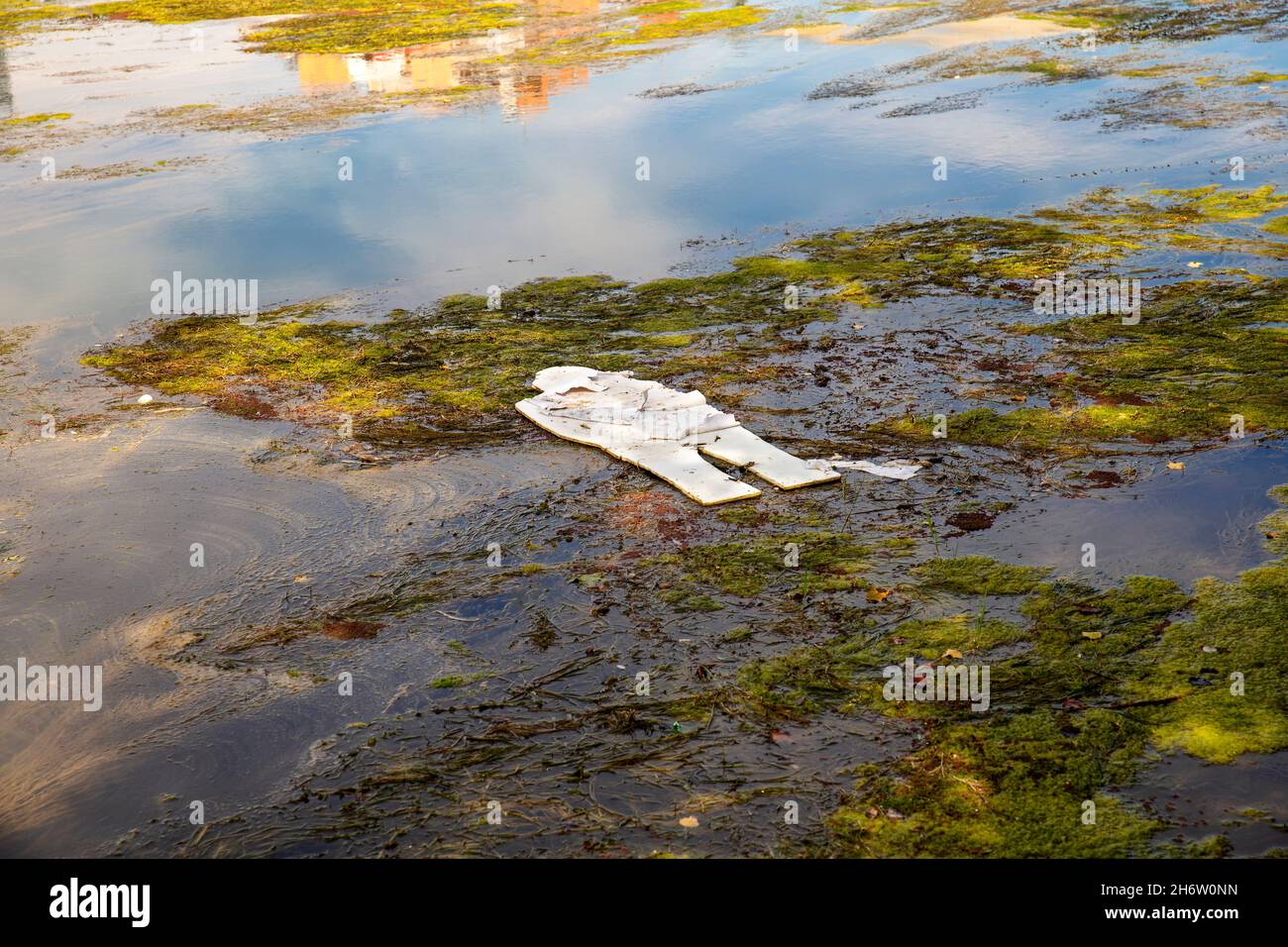 plastic and rubbish floating on water. River pollution Stock Photo - Alamy