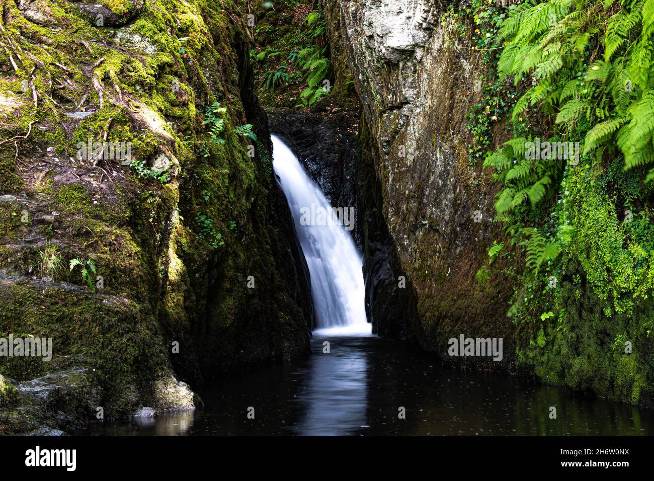 Ffynone hi-res stock photography and images - Alamy