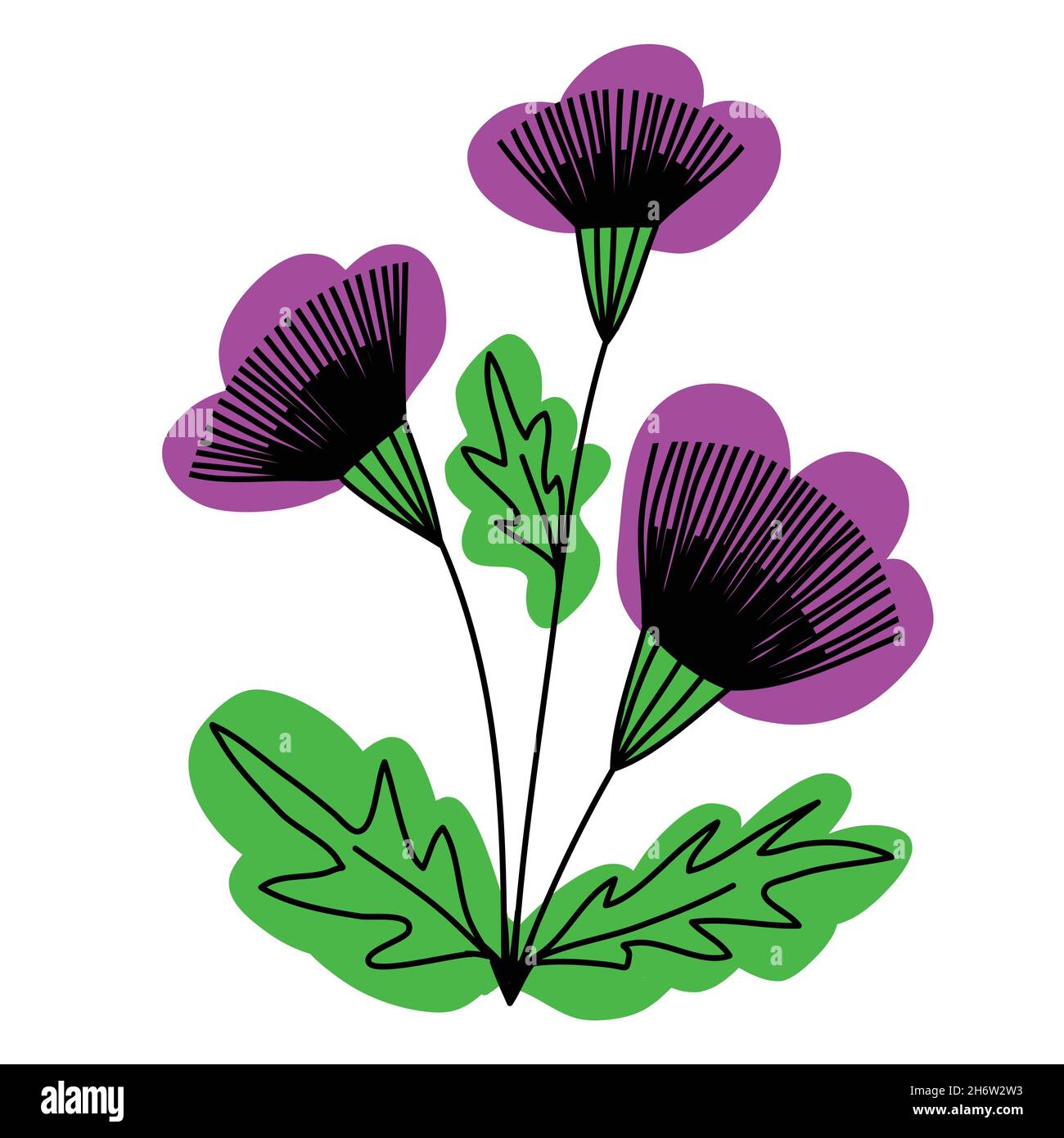 Arctium lappa burdock, Simple flower with three blossom inflorescences ...
