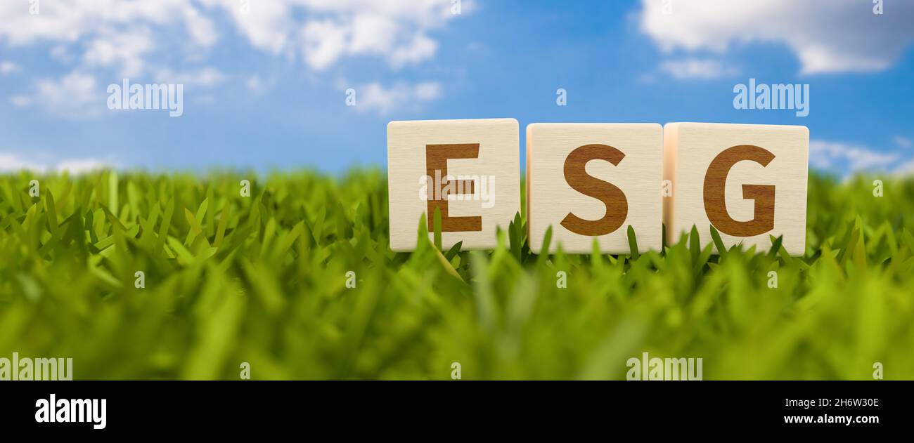 The letters ESG (environment social governance) on wooden cubes ...