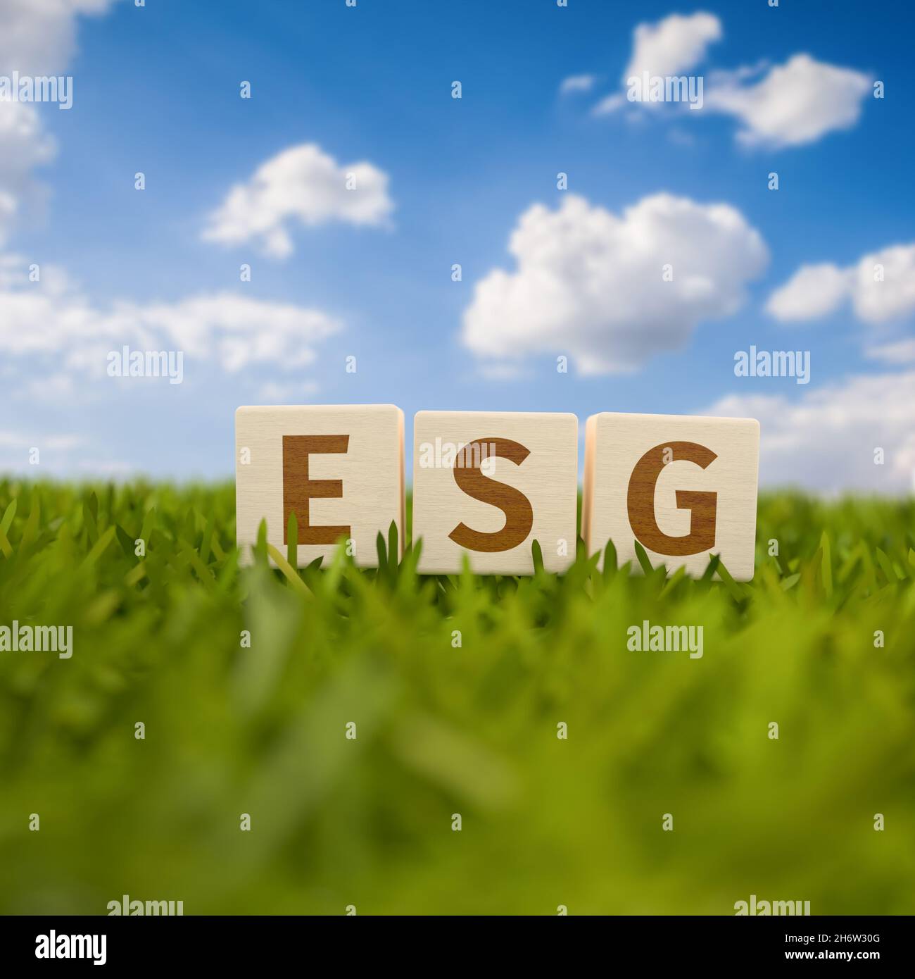 The letters ESG (environment social governance) on wooden cubes ...
