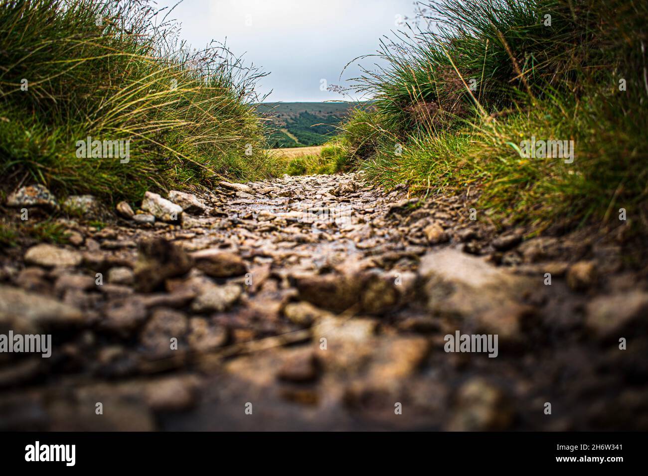 Preseli Hills, wales Stock Photo - Alamy