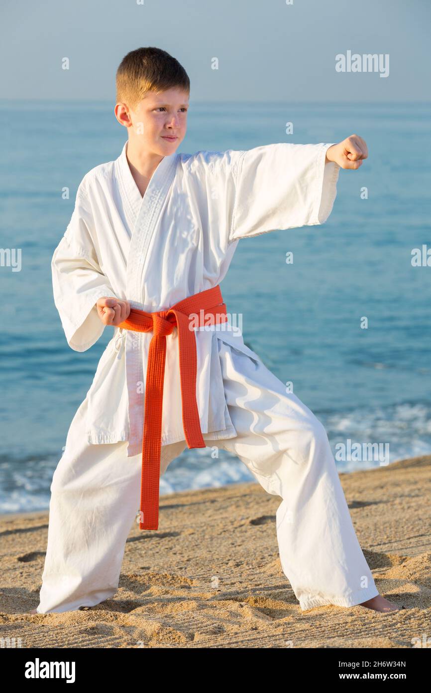 Man doing karate kick hi-res stock photography and images - Alamy