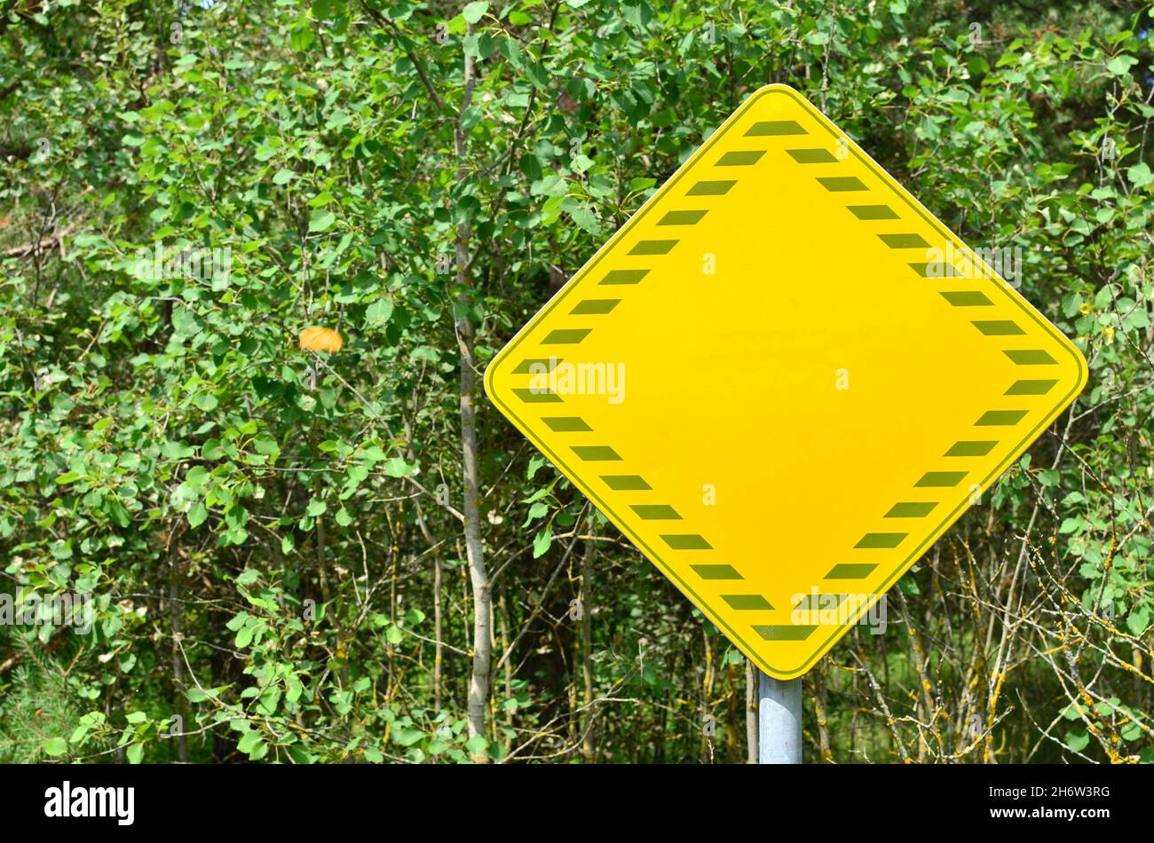 Empty yellow road sign on forest background. The yellow background on ...