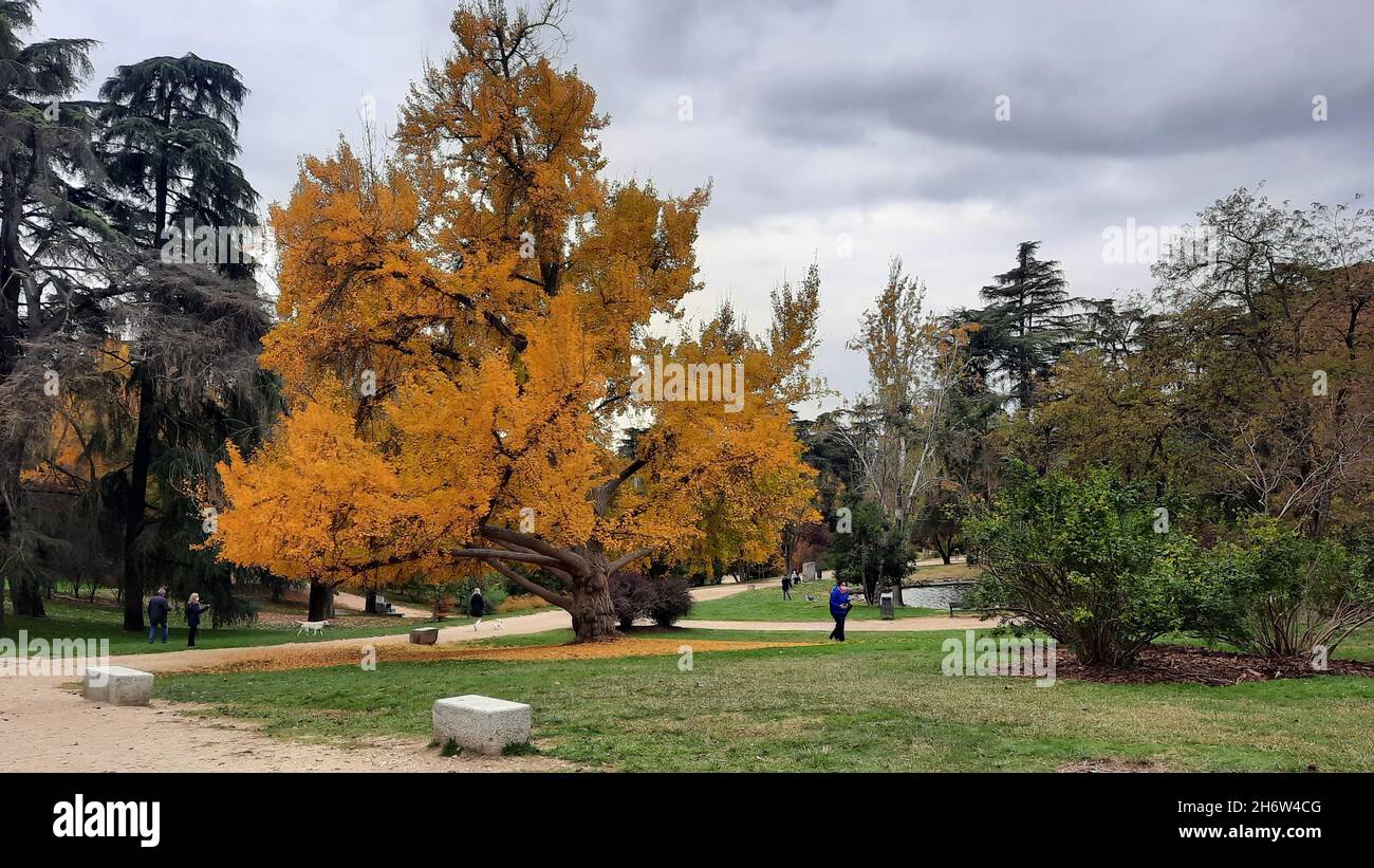 Berlin park madrid hi-res stock photography and images - Alamy