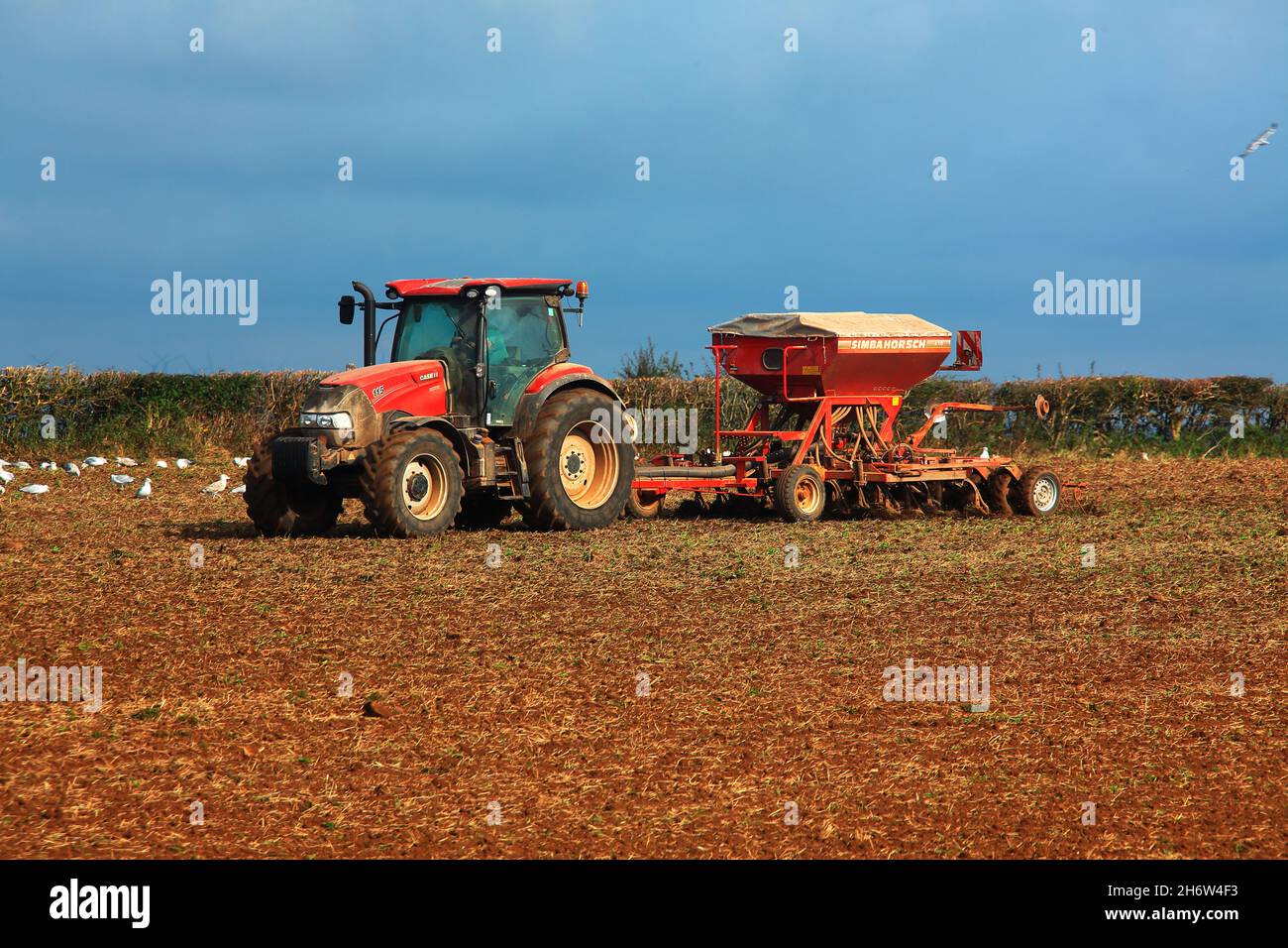 A large red Tractor running around the field sowing the seeds for ...