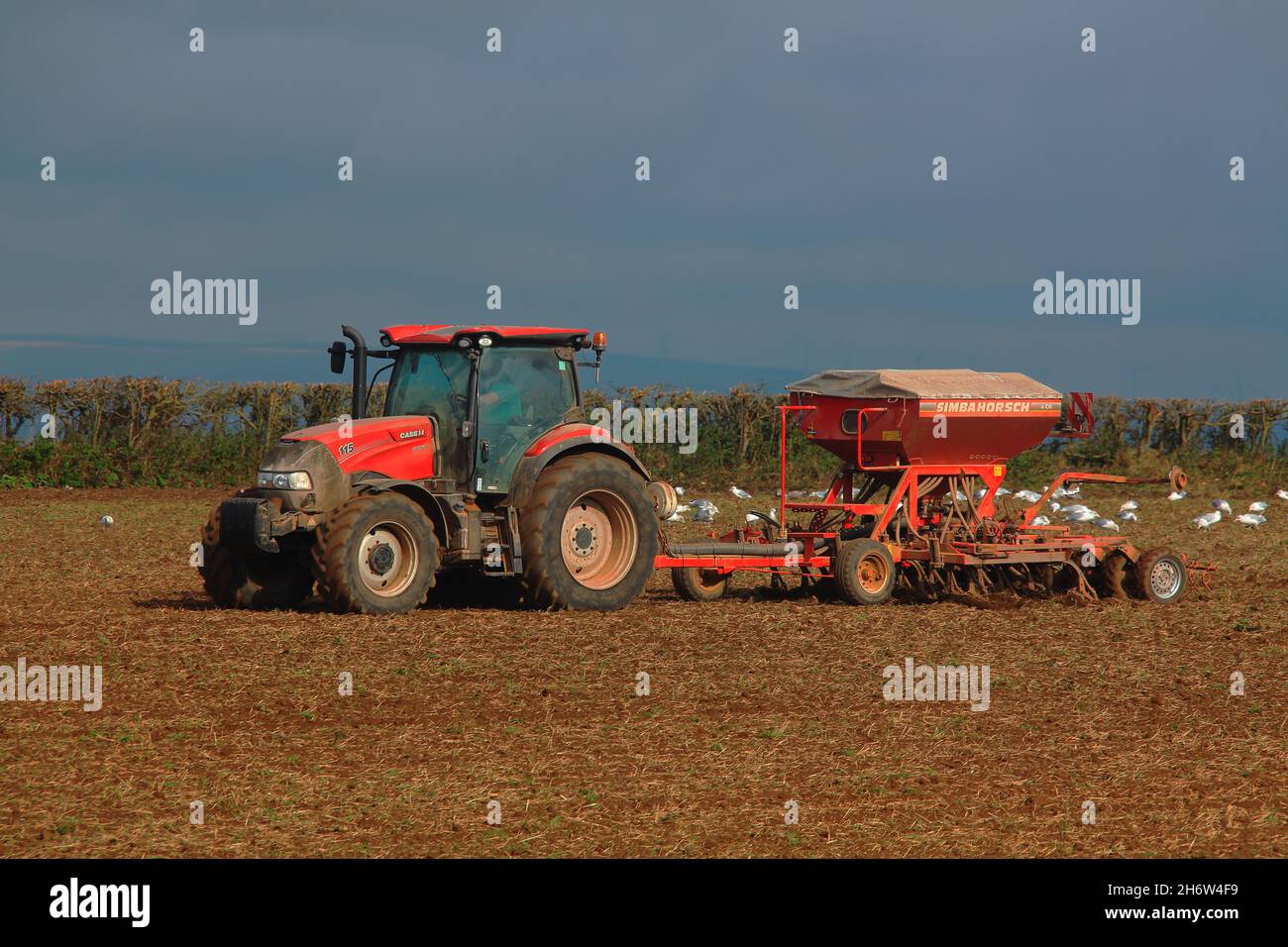 A large red Tractor running around the field sowing the seeds for ...