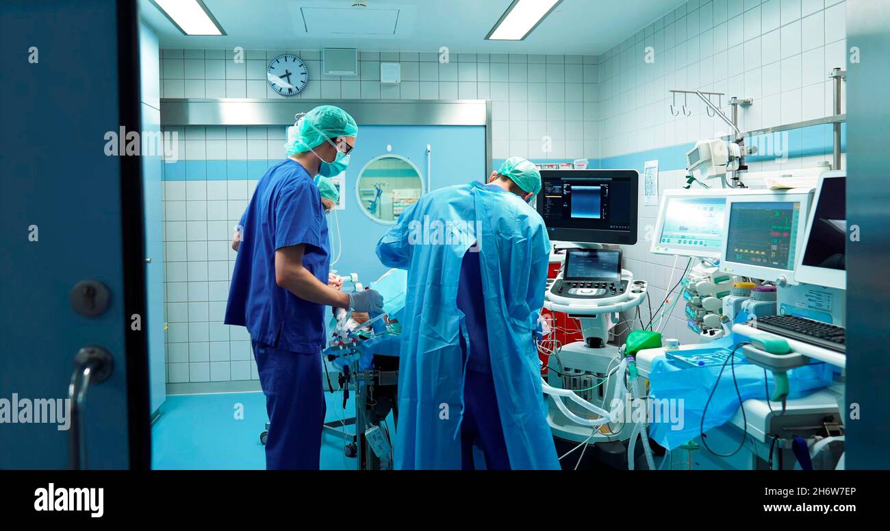Close-up of a doctor or surgeon performing an operation on a patient in ...