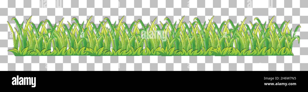 Grass and plants on transparent background for decor illustration Stock ...
