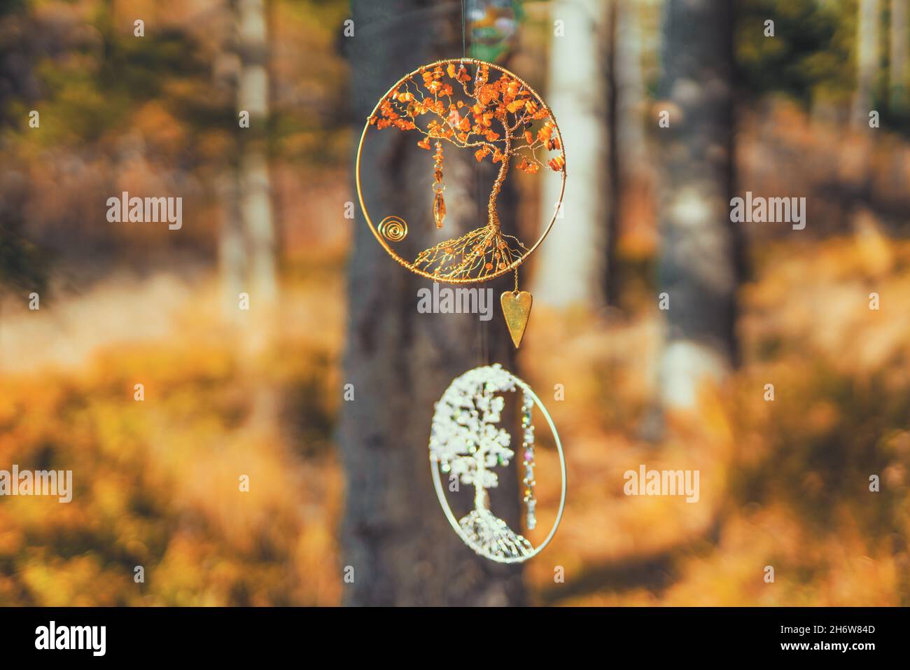 Ornamental flower of life in nature Stock Photo - Alamy