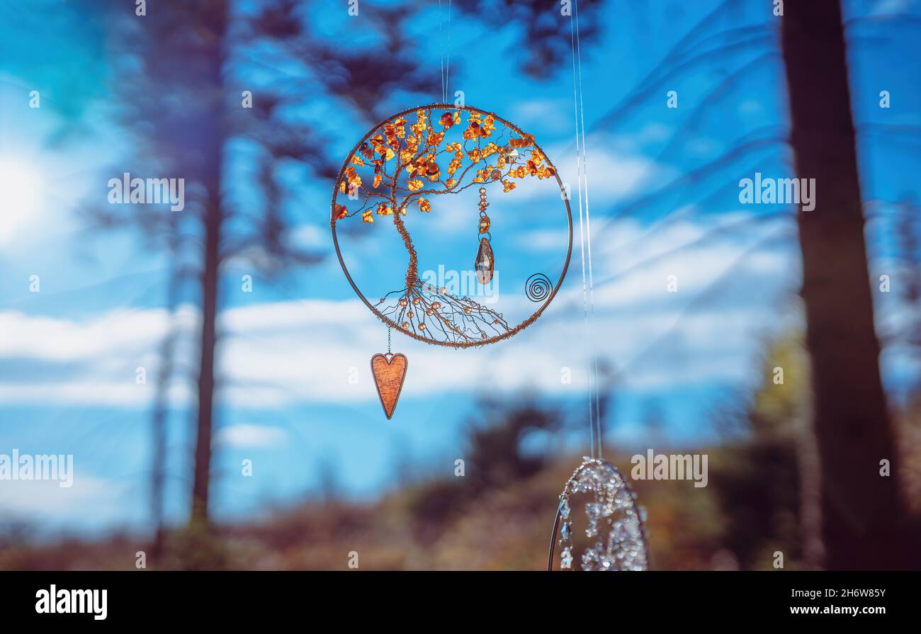 Ornamental flower of life in nature Stock Photo - Alamy
