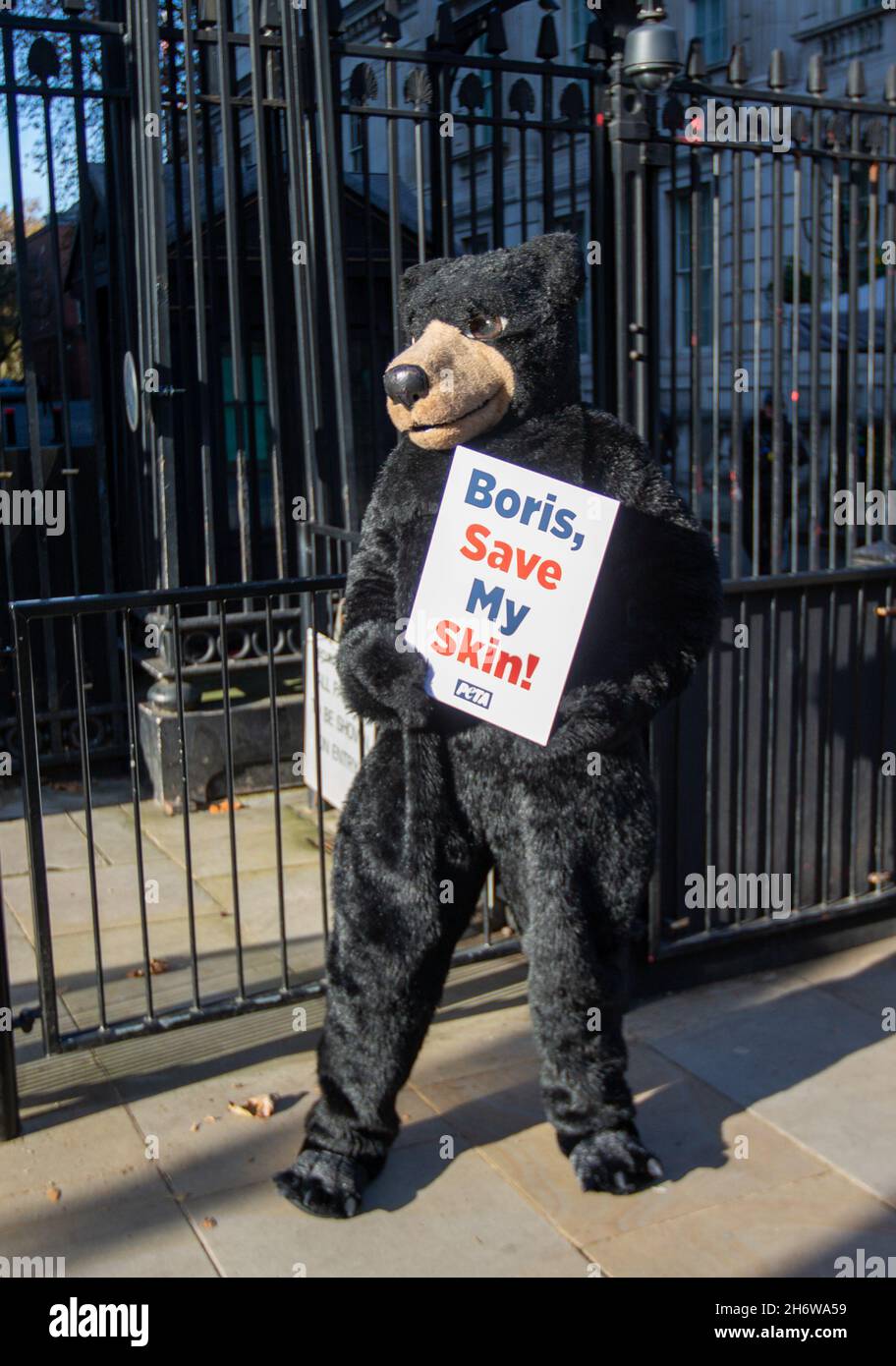London, England, UK. 18th Nov, 2021. PETA activist dressed as a bear ...